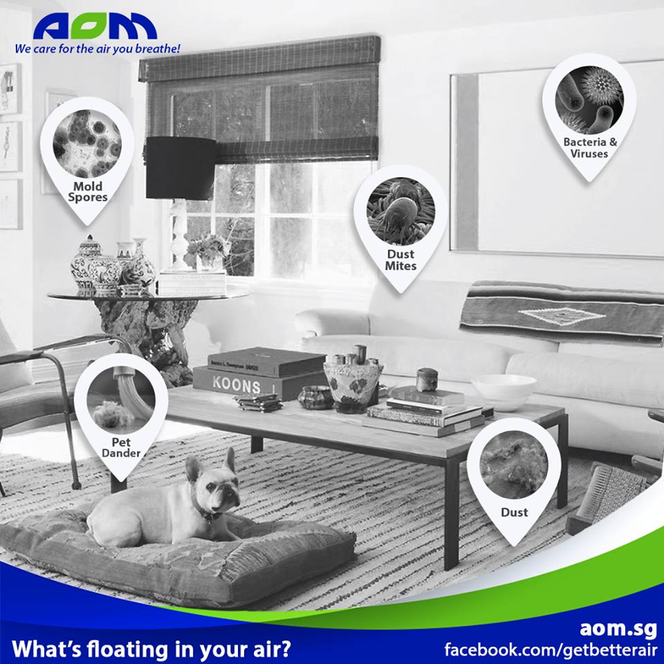 Indoor Air Quality (IAQ) - Air & Odor Management (SG)